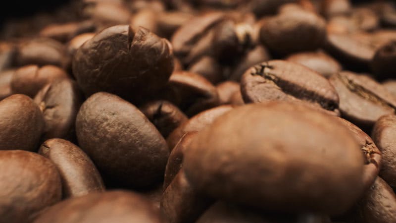 Caffeine, Seed, Smoke, Roasted by Cinematic Vision – Stock Footage ...