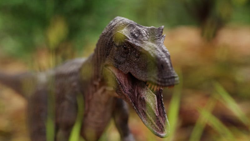 Predator, Velociraptor, 3d, Extinct Animal by Finn Moeller – Stock ...