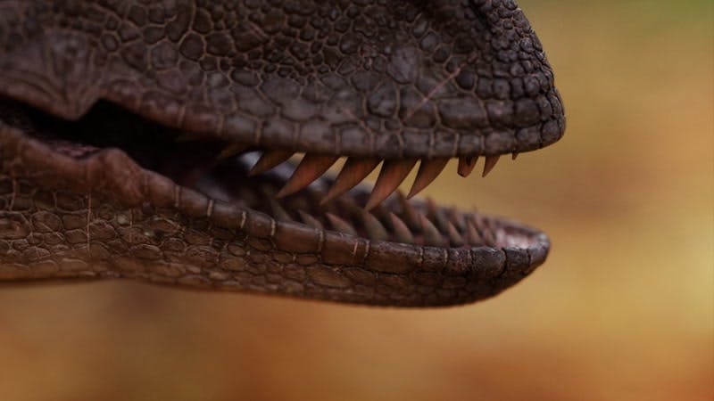 Predator, Velociraptor, 3d, Extinct Animal by Finn Moeller – Stock ...