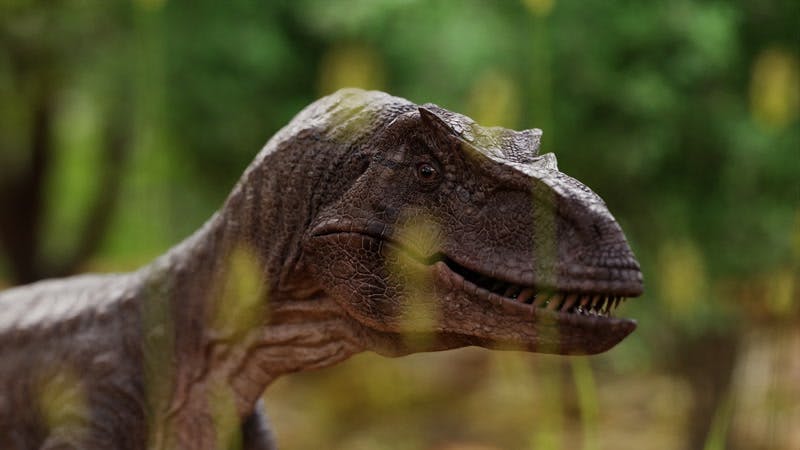 Predator, Velociraptor, 3d, Extinct Animal by Finn Moeller – Stock ...