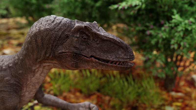 Cgi, Predator, Dinosaur, Velociraptor by Finn Moeller – Stock Footage ...