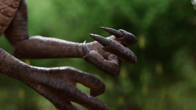 Dinosaur, Claws, Velociraptor, 3d by Finn Moeller – Stock Footage | Artlist
