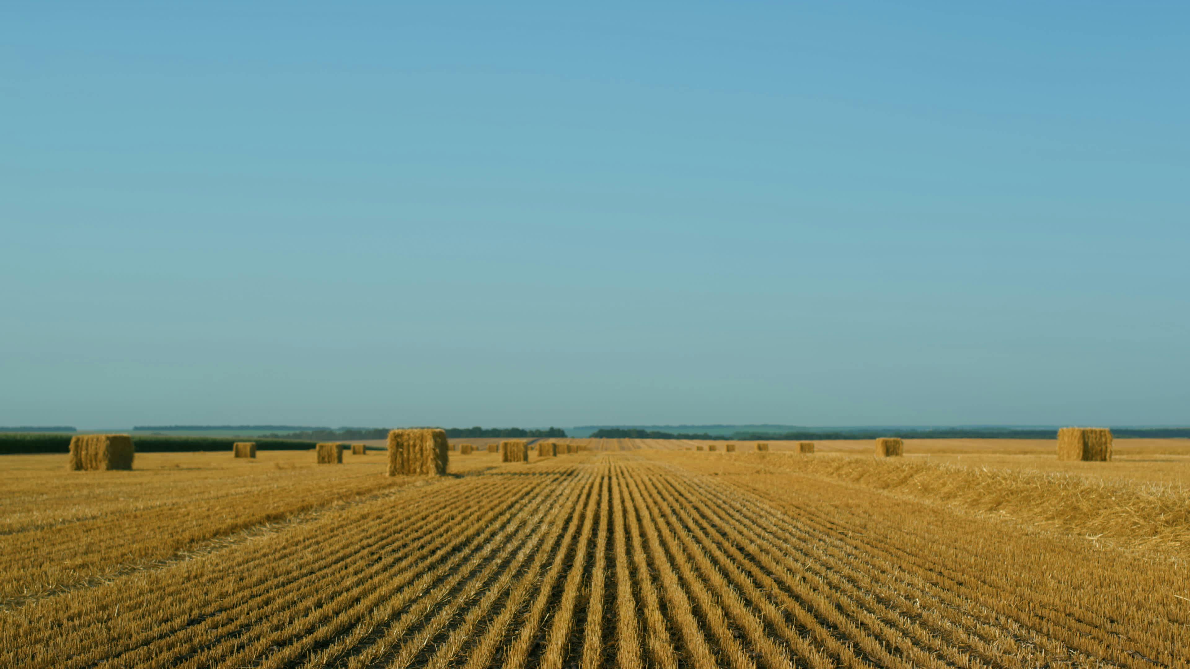 Discover farmer-and-hay-bales, a story-driven footage | Artlist