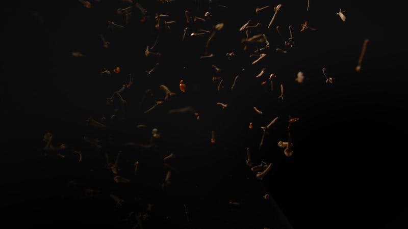 Motion, Phantom Flex, Particles, Cloves by Soraphotography – Stock ...