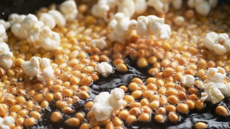 Seeds, Boiling, Bouncing, Popping Up by Soraphotography – Stock Footage ...