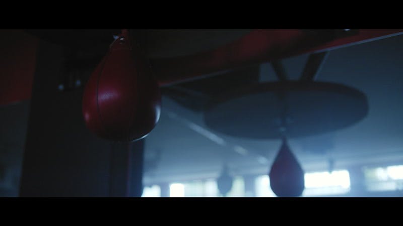 Gym, Punching Bag, Window, Sunlight by Omri Ohana – Stock Footage | Artlist
