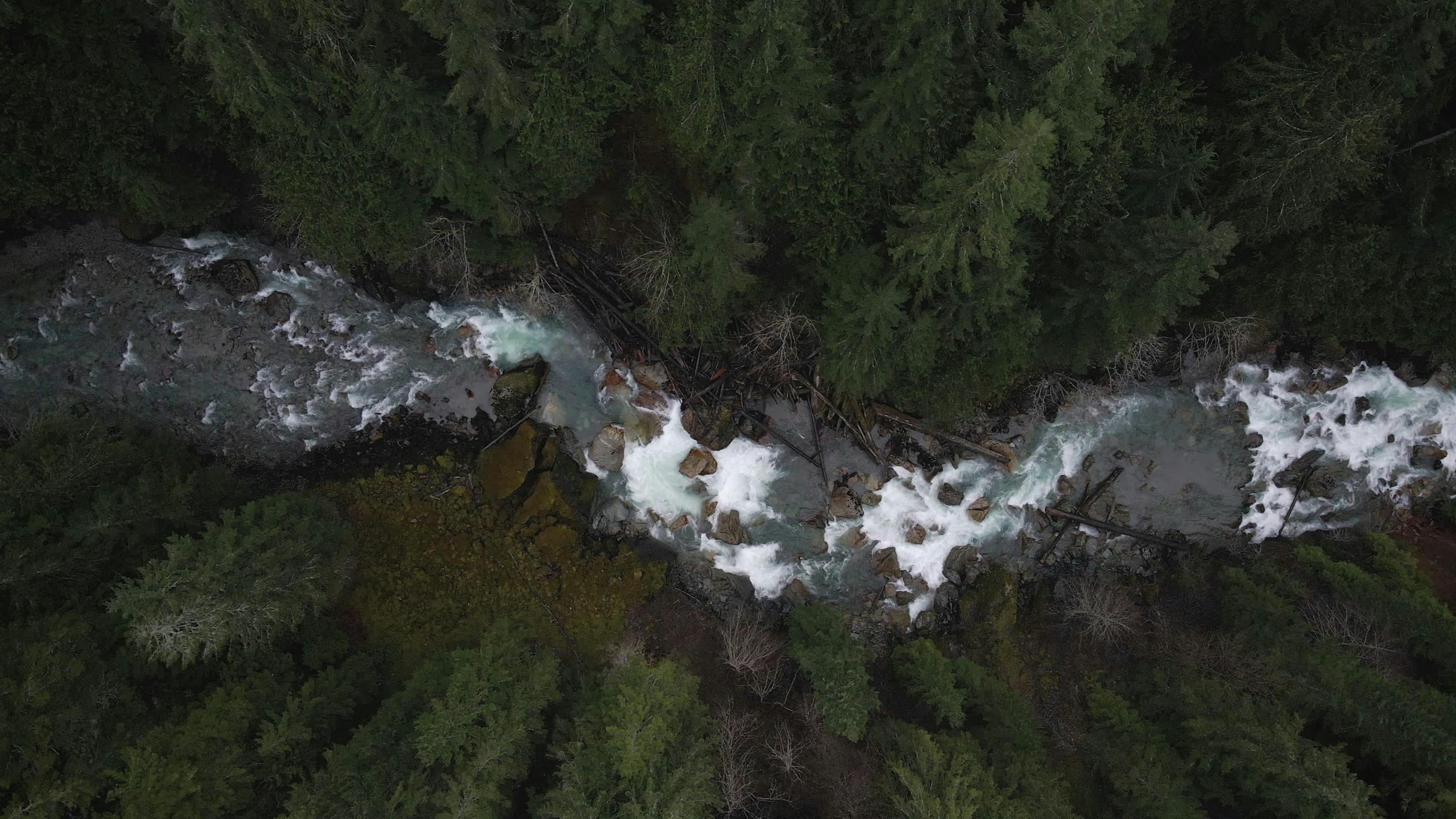 Discover nooksack-river-washington-state, a story-driven footage | Artlist