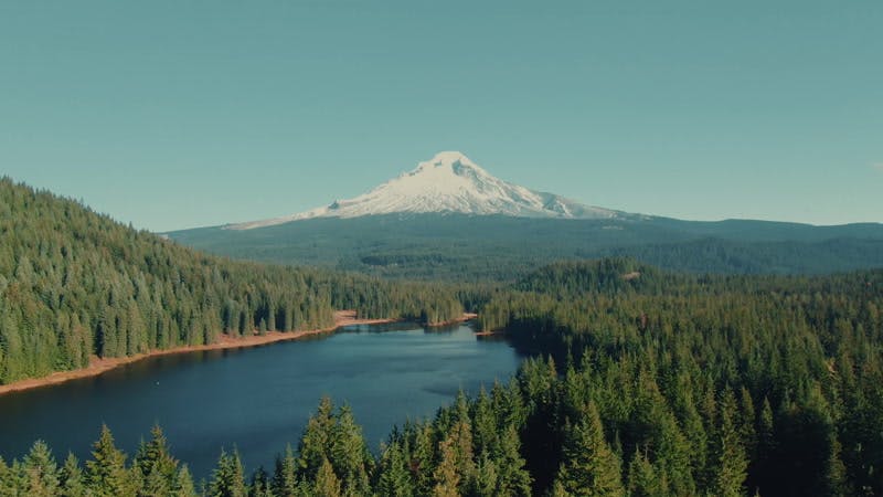 River, Capped Peak, Forest, Summit by Jeremie SERY – Stock Footage ...
