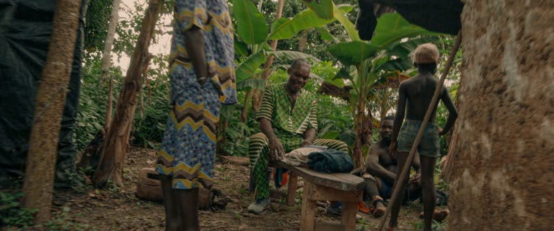 Village, Hut, Chickens, Ivory Coast by Will Niava – Stock Footage | Artlist