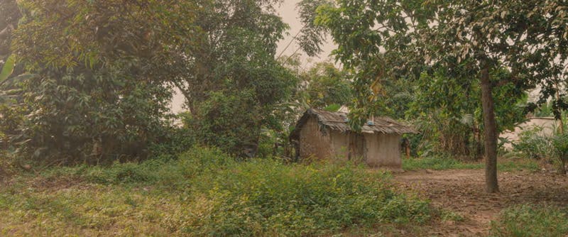 Hut, Trees, Republique De Cote Divoir, Ivory Coast by Will Niava ...
