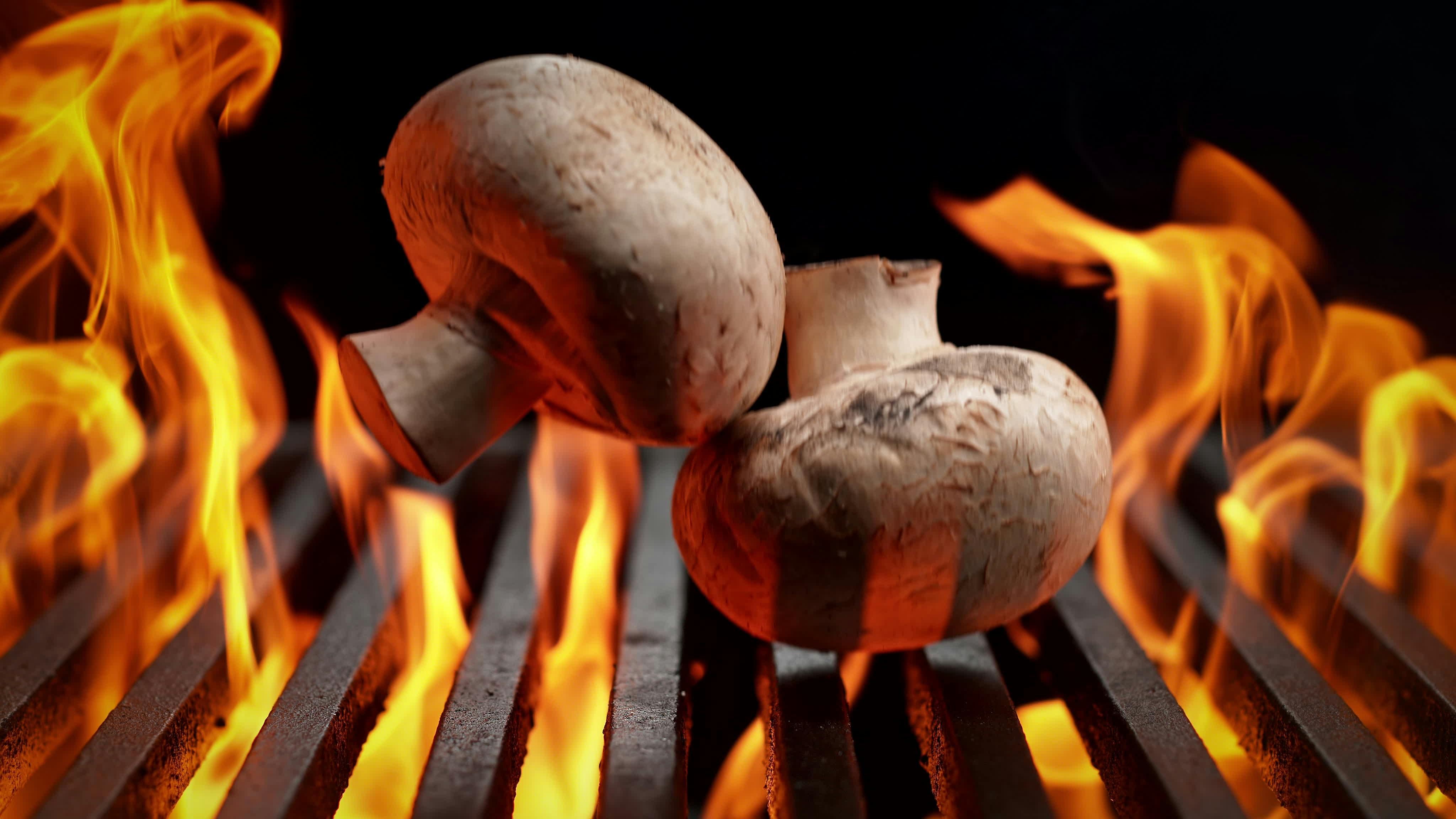 Discover super-slow-bbq, a story-driven footage | Artlist