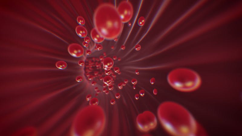 Blood Cells, 3d, Blood Flow, Bubbles by ORIGAMO – Stock Footage | Artlist