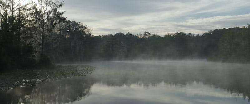 Sunshine, Lake, Water, Trees by Nomo Films – Stock Footage | Artlist