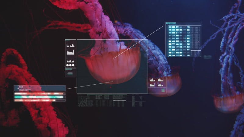 Colorful, Underwater, Aquarium, Data by 21 Aerials – Stock Footage ...