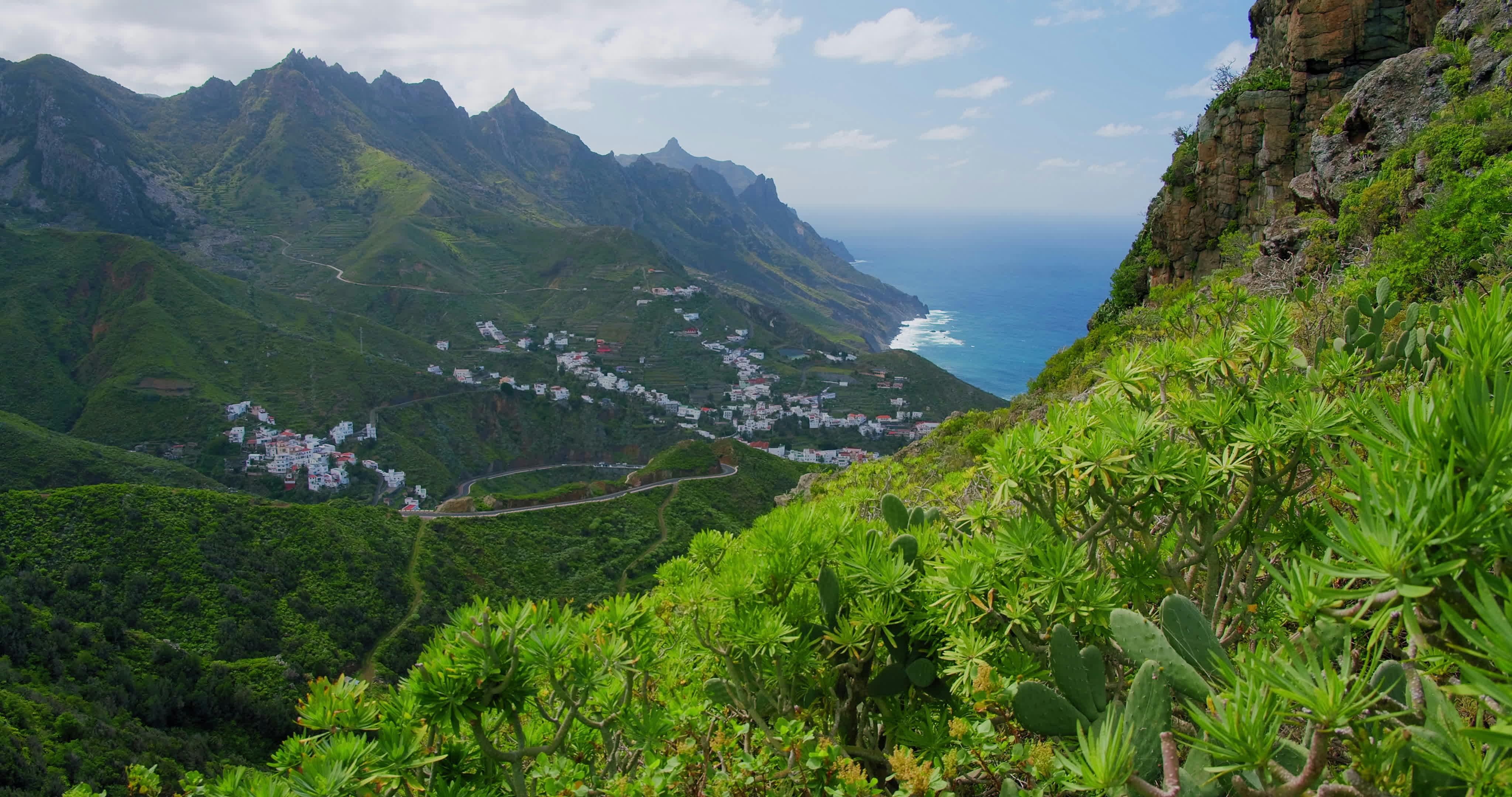 Discover anaga-national-park, a story-driven footage | Artlist