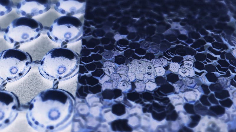 Circles, Blue, Sequins, Shapes by Piotrek Naumowicz – Stock Footage ...