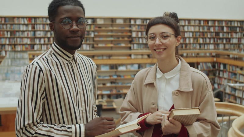 Studies, Books, Portrait, Library by AnnaStills – Stock Footage | Artlist