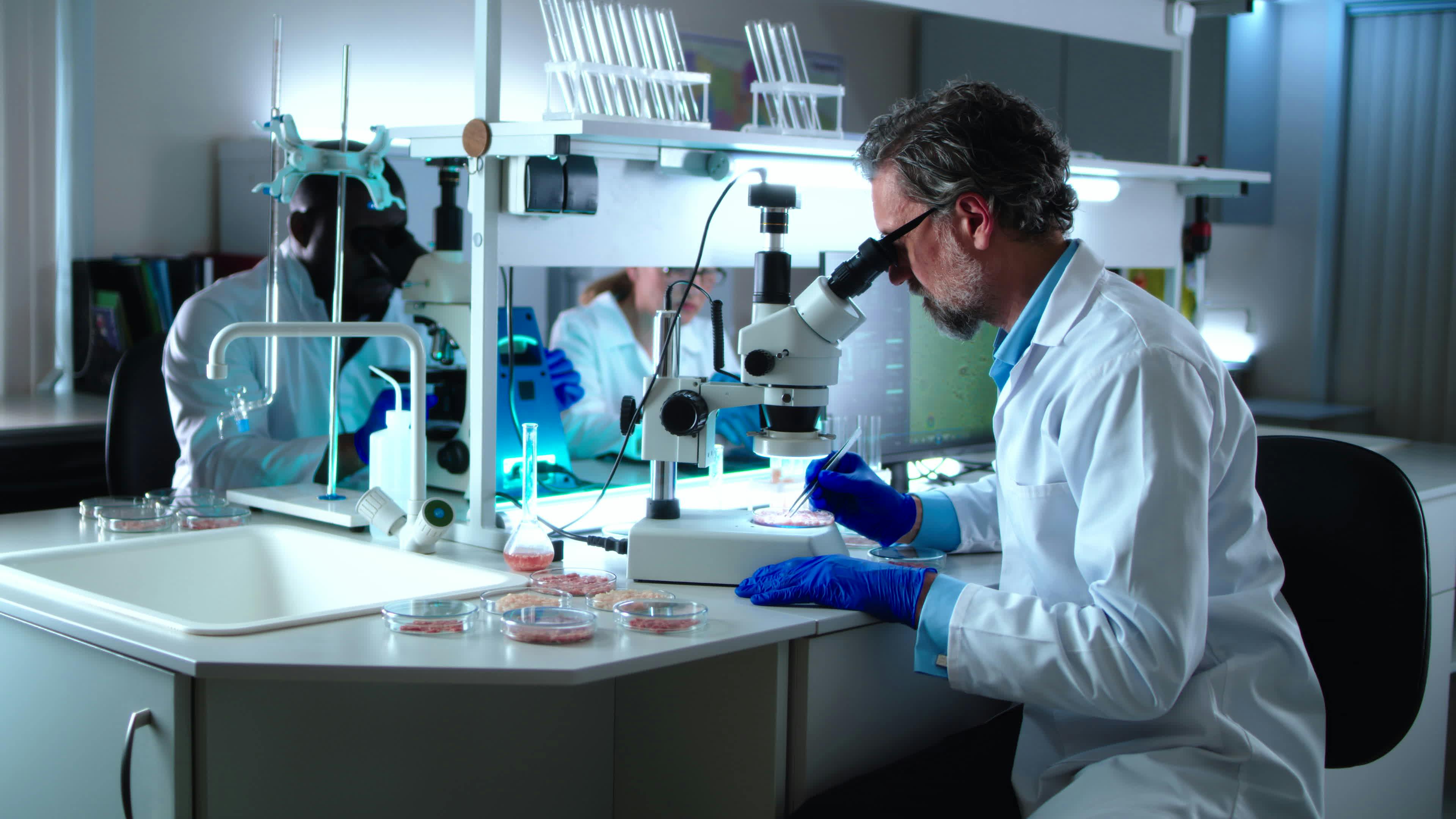 Discover the-meat-lab, a story-driven footage | Artlist