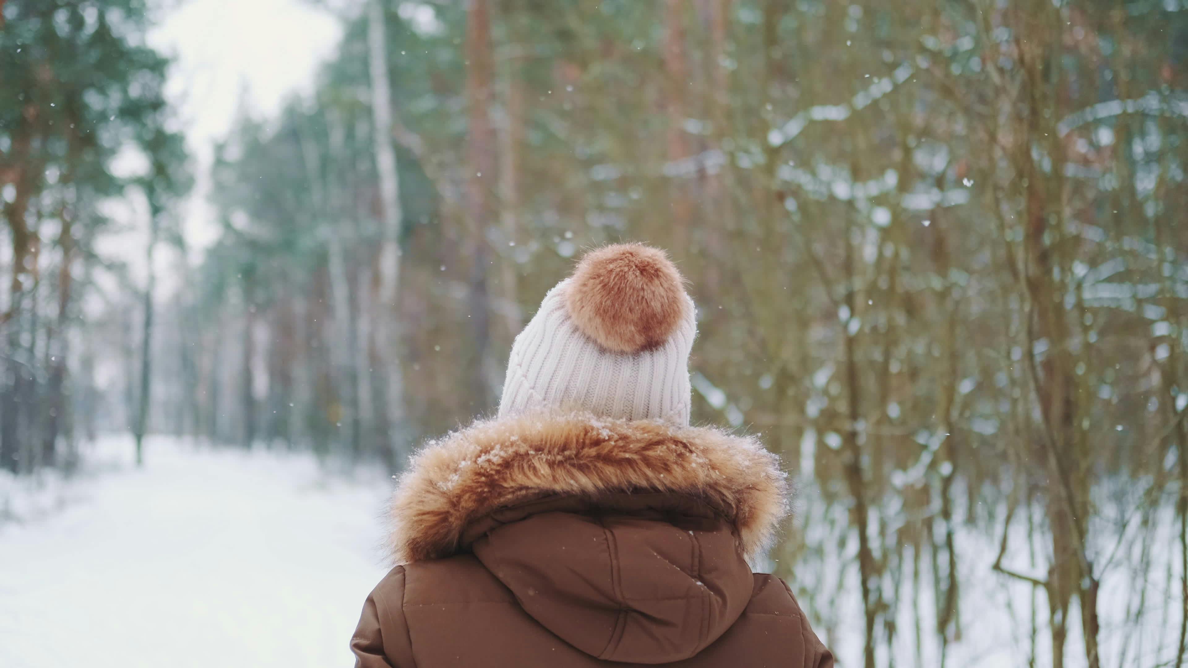 Discover winter-in-the-forest, a story-driven footage