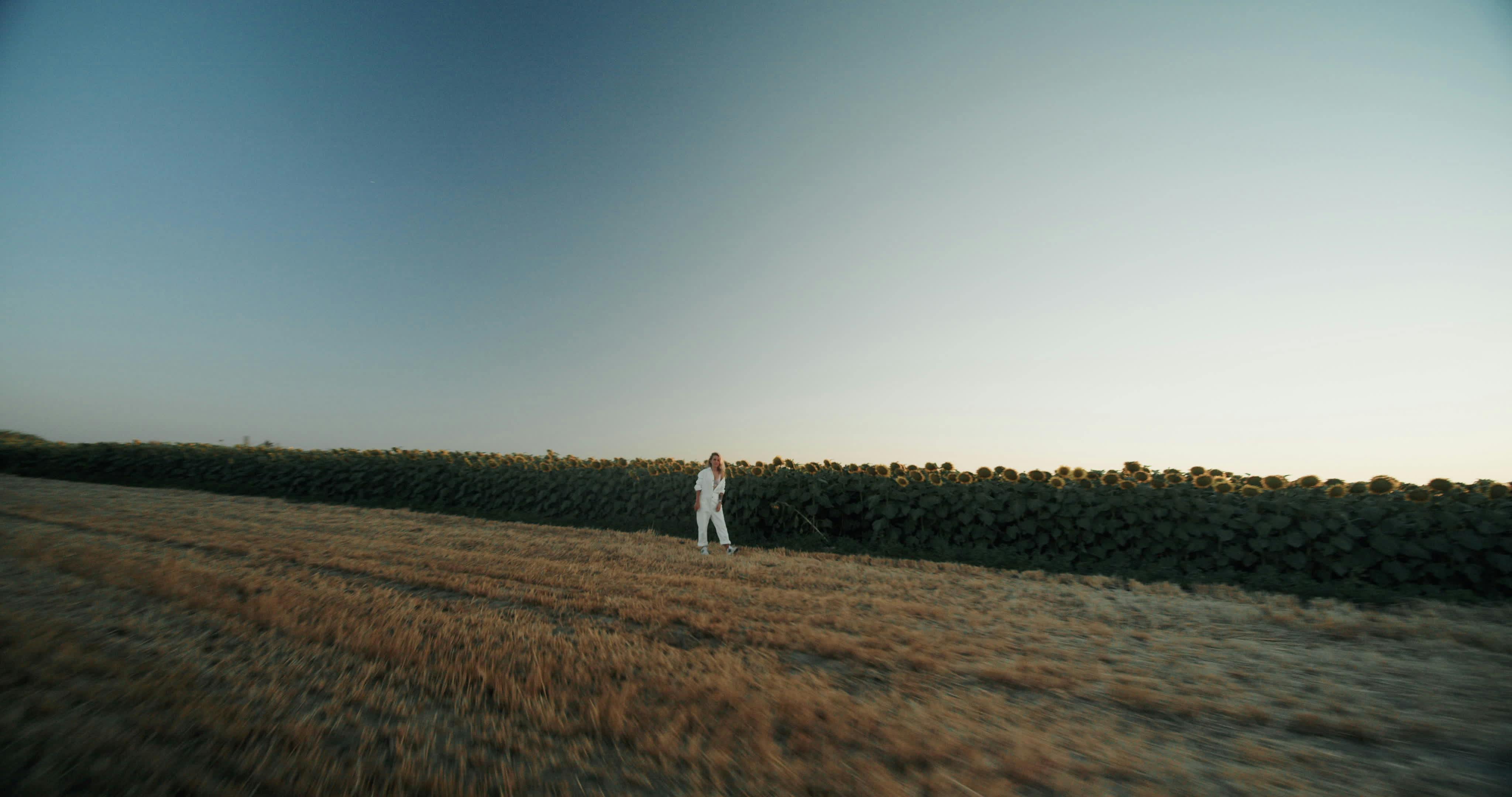 Discover fpv-in-sunflower-field, a story-driven footage | Artlist