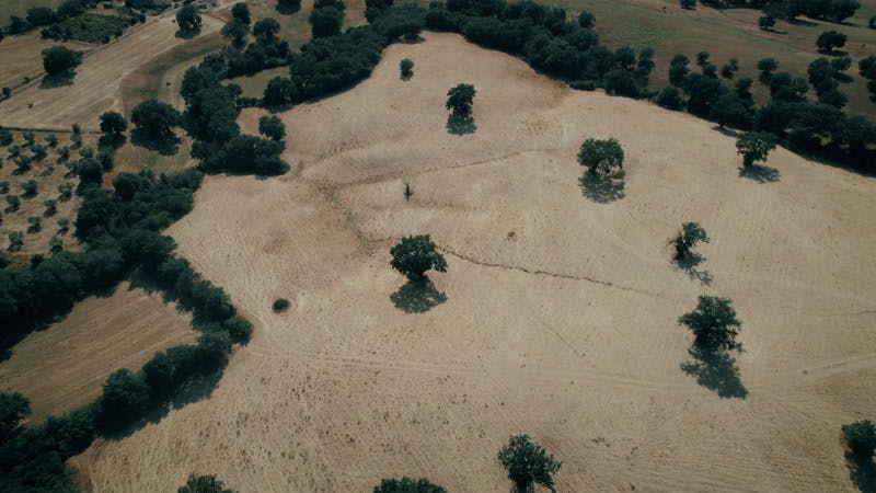 Italy, Europe, Hills, Trees by Adrian Vidak – Stock Footage | Artlist