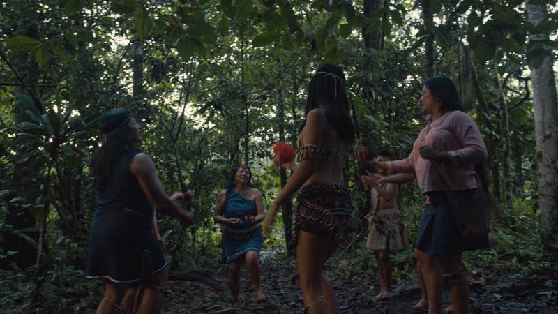 Huaorani, Tribal, Ceremony, Dancing by Wind Collective – Stock Footage ...