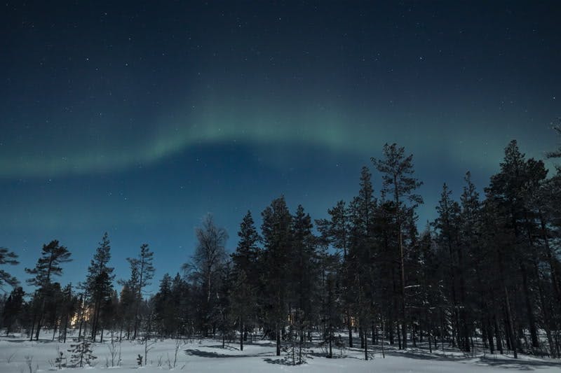 Forest, Lapland, Sky, Northern Lights by Timo Oksanen – Stock Footage ...