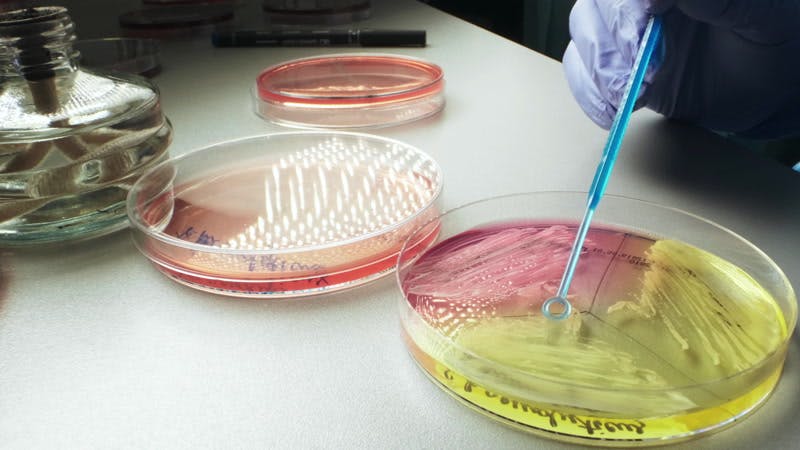 Science, Biology, Lab Tech, Medical Research by Cinematic Vision ...