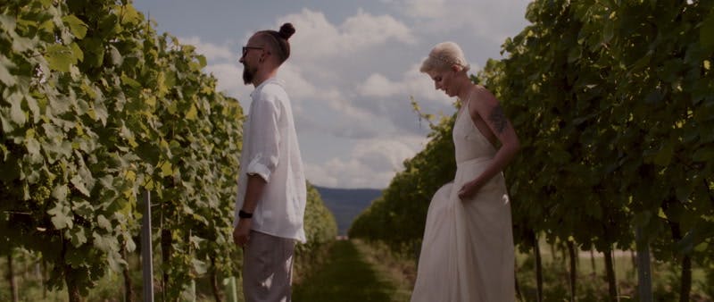 Garden, Wedding, Vineyard, Standing by Piotrek Naumowicz – Stock ...