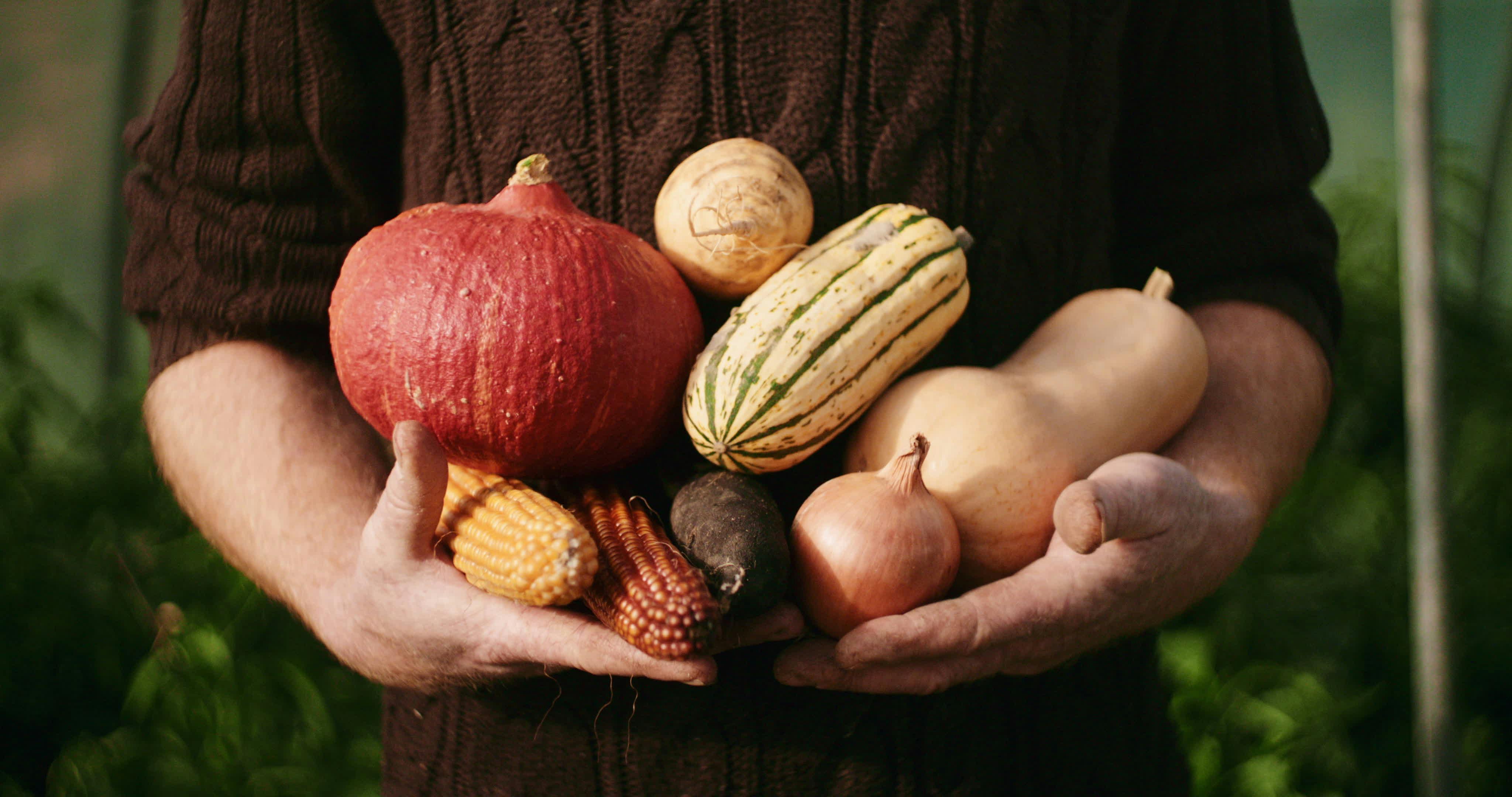 Discover farmer-products, a story-driven footage | Artlist
