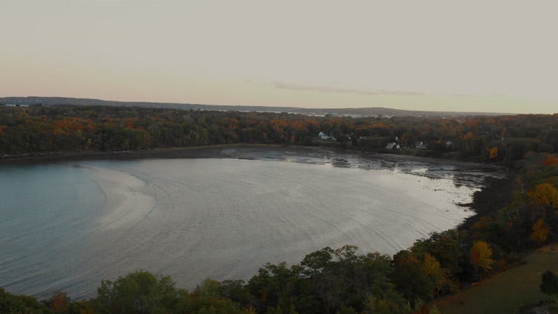 Treetops, Forest, Autumn, Lake by Raphael Rogers – Stock Footage | Artlist