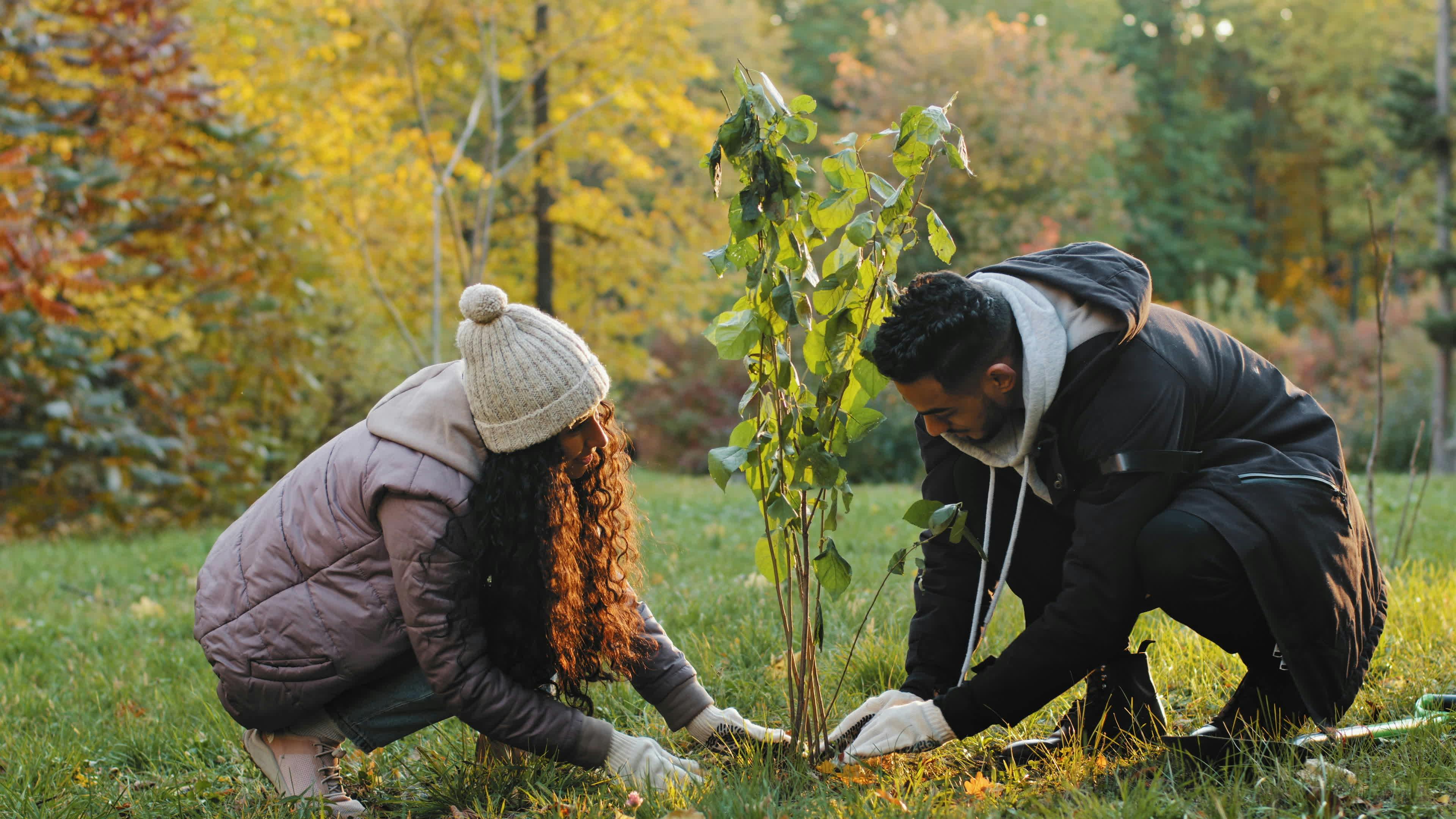Discover planting-a-tree, a story-driven footage | Artlist