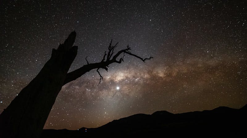 Milky Way, Stars, Astrophotography, Tree Trunk by Renclif Media – Stock ...