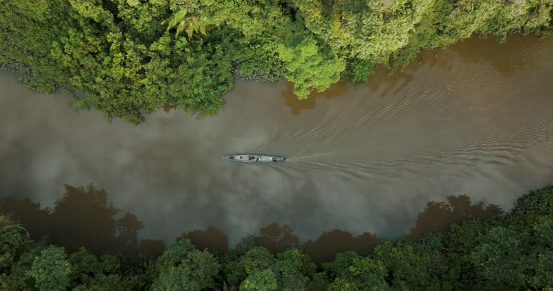 Discover Aerials of the Amazon Rainforest, a story-driven footage ...