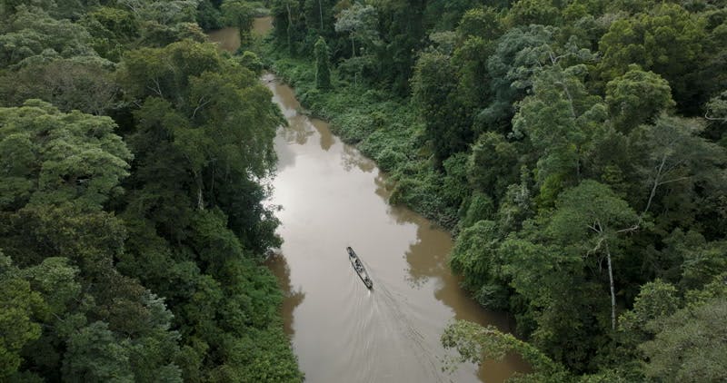 Discover Aerials of the Amazon Rainforest, a story-driven footage ...