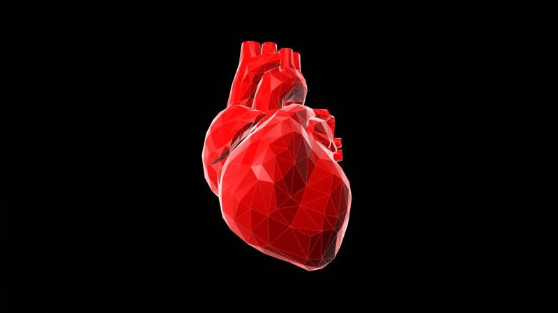 Heart, Human Heart, Cgi, Polygons by ORIGAMO – Stock Footage | Artlist