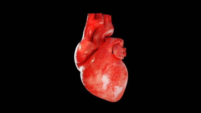 Beating, Human Heart, Animated, Cgi by ORIGAMO – Stock Footage | Artlist
