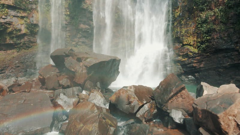 Trees, Costa Rica, Nauyaca Waterfalls, Waterfall by Alejandro Campollo ...