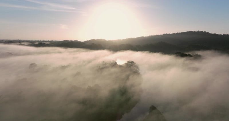 Costa Rica, Jungle, Fog, Skyline by Postandfly – Stock Footage | Artlist