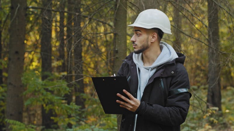 Forest Engineering, Trees, Folder, Helmet by MayaLab – Stock Footage ...
