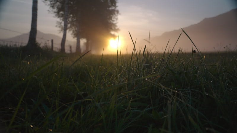 Dew, Mist, Hills, Field by Alpha Visuals – Stock Footage | Artlist