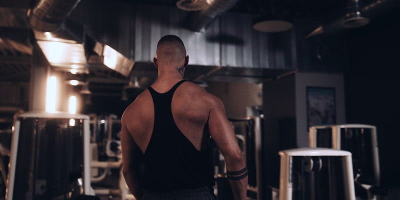 Man, Bodybuilder, Gym, Athlete by Thomas Gellert – Stock Footage | Artlist