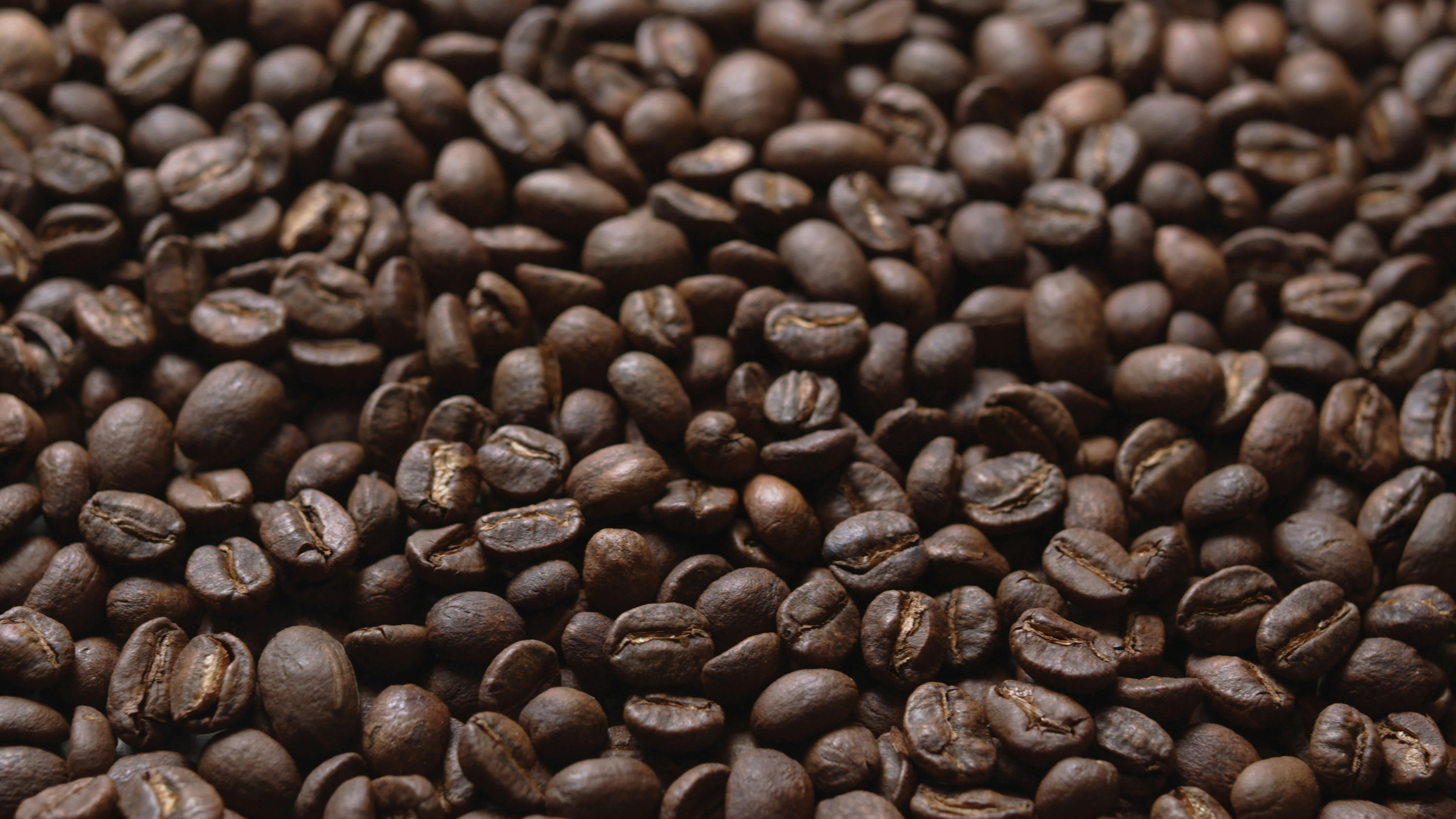 Discover coffee-beans, a story-driven footage | Artlist