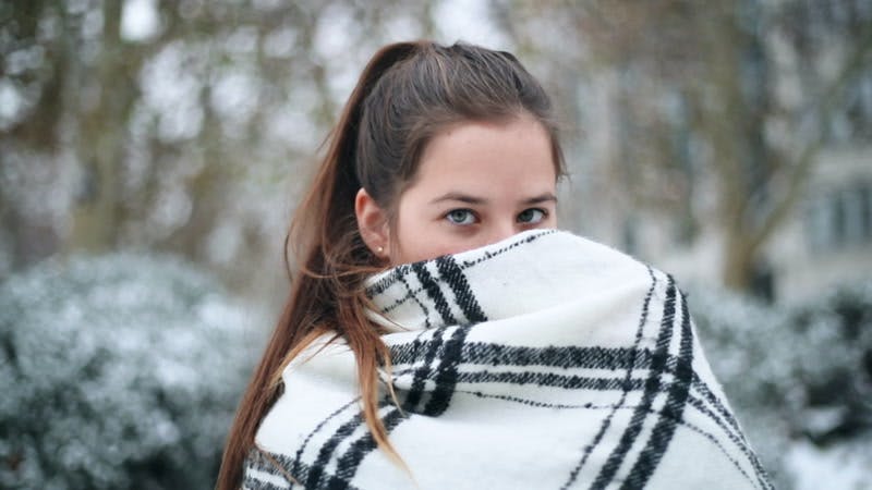 Vienna, Snow, Blanket, Looking At Camera by Yuval Aloni – Stock Footage ...