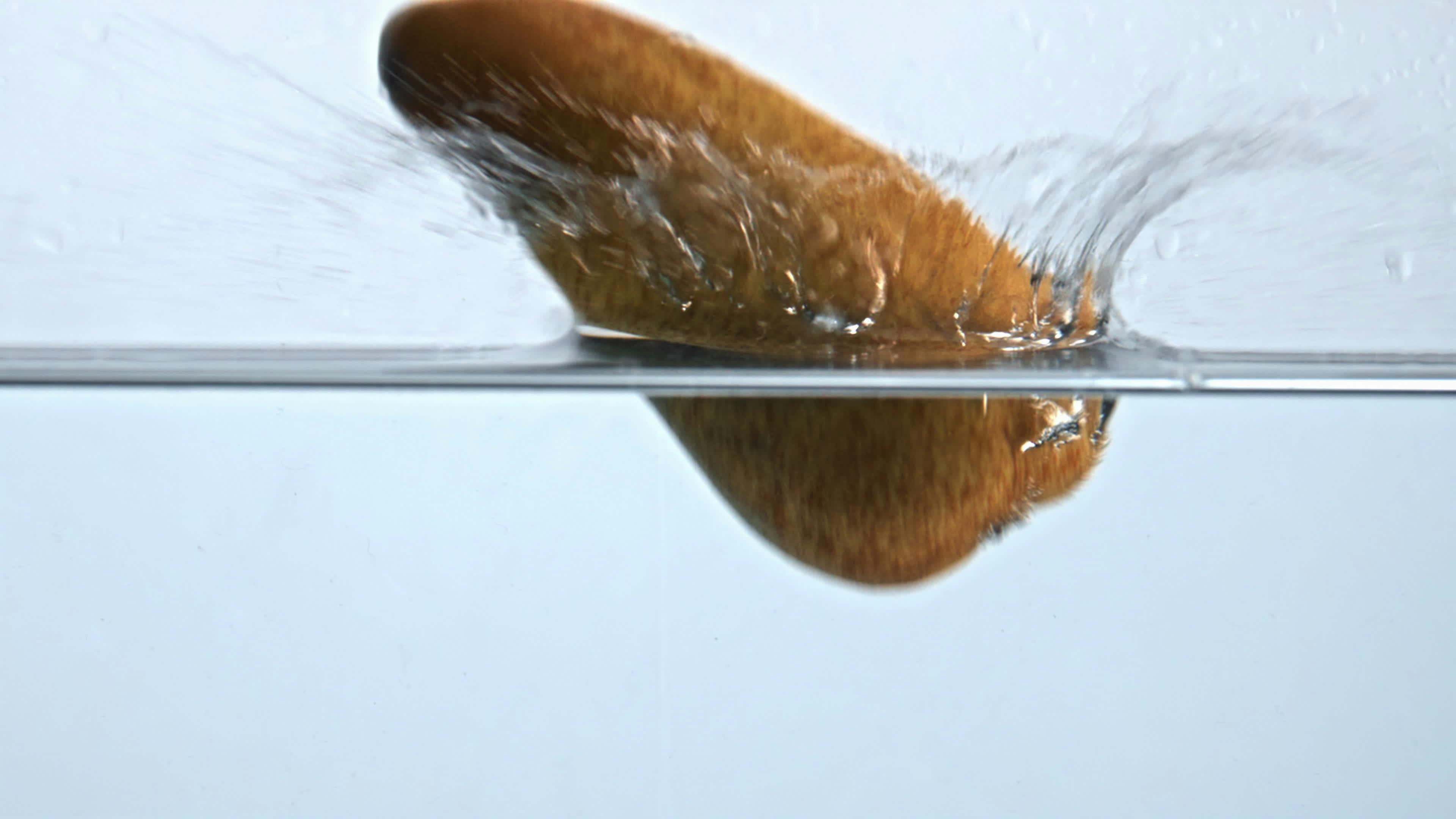 Discover fruits-beauty-shots-in-water, a story-driven footage | Artlist