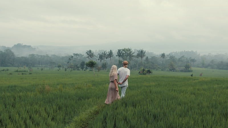Romantic, Exploring, Fields, Traveling by Wind Collective – Stock ...