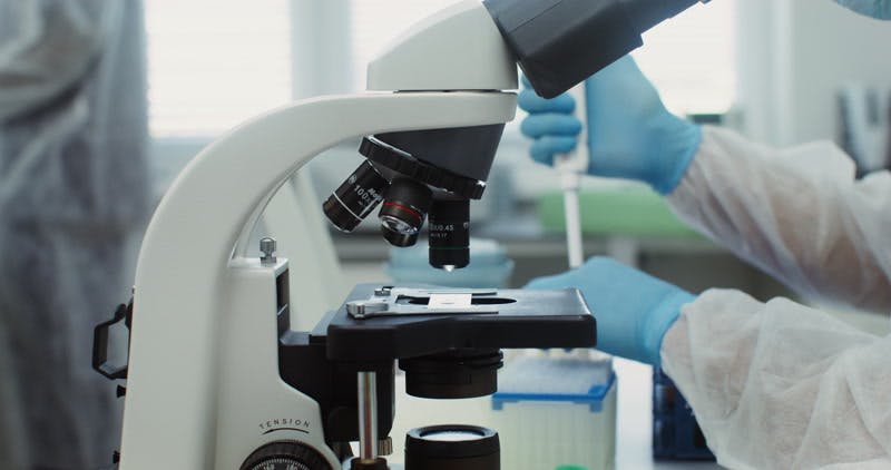 Samples, Microscope, Working, Test Tubes by M-ART production – Stock ...