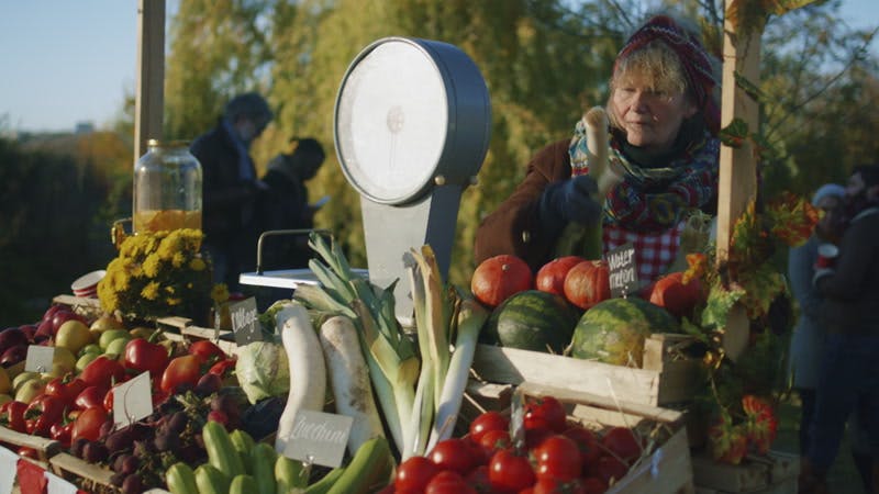 Farmers Market, Stand, Crops, Vegetables by Frame Stock Footage – Stock ...