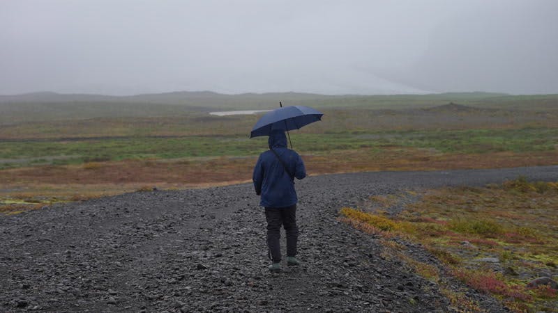 Track, Hills, Fields, Puddles by David Alexander Jervidal – Stock ...