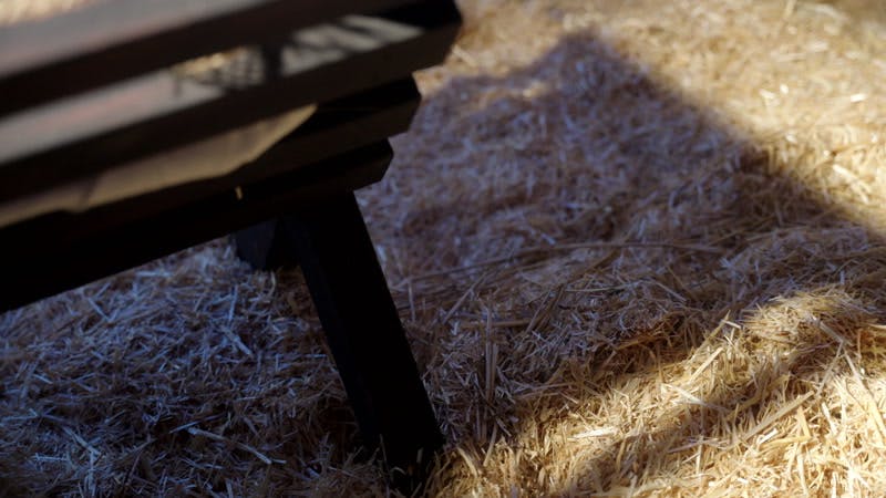 Nativity, Stable Bedding, Straw, Wooden Trough by Particle Film Co ...